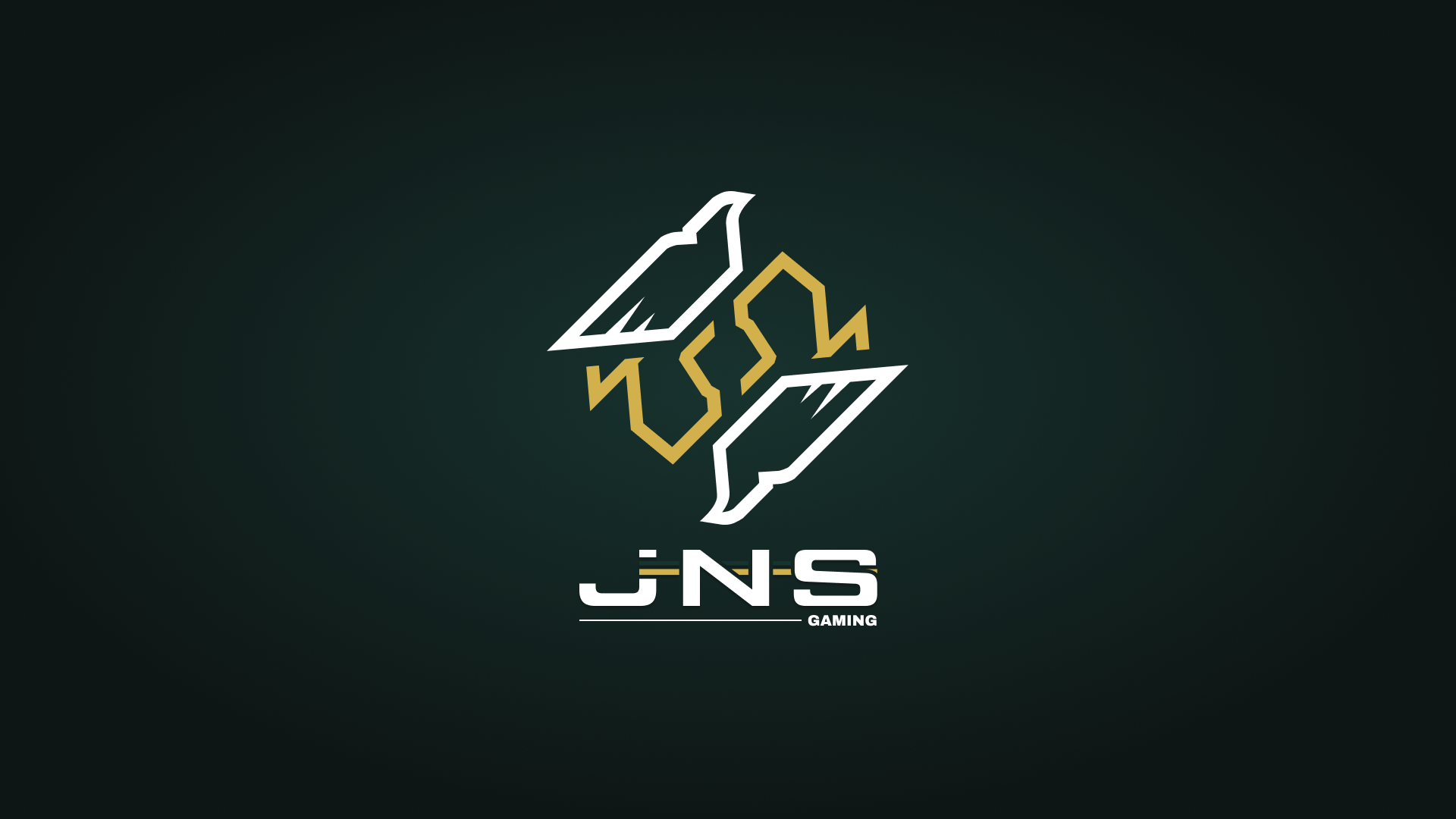 JNS Gaming - Organização Brasileira de e-Sports
